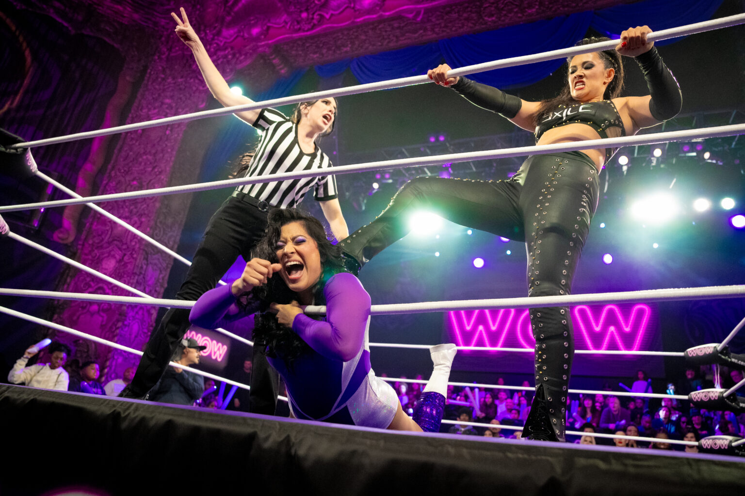 GENESIS Gallery - Women Of Wrestling