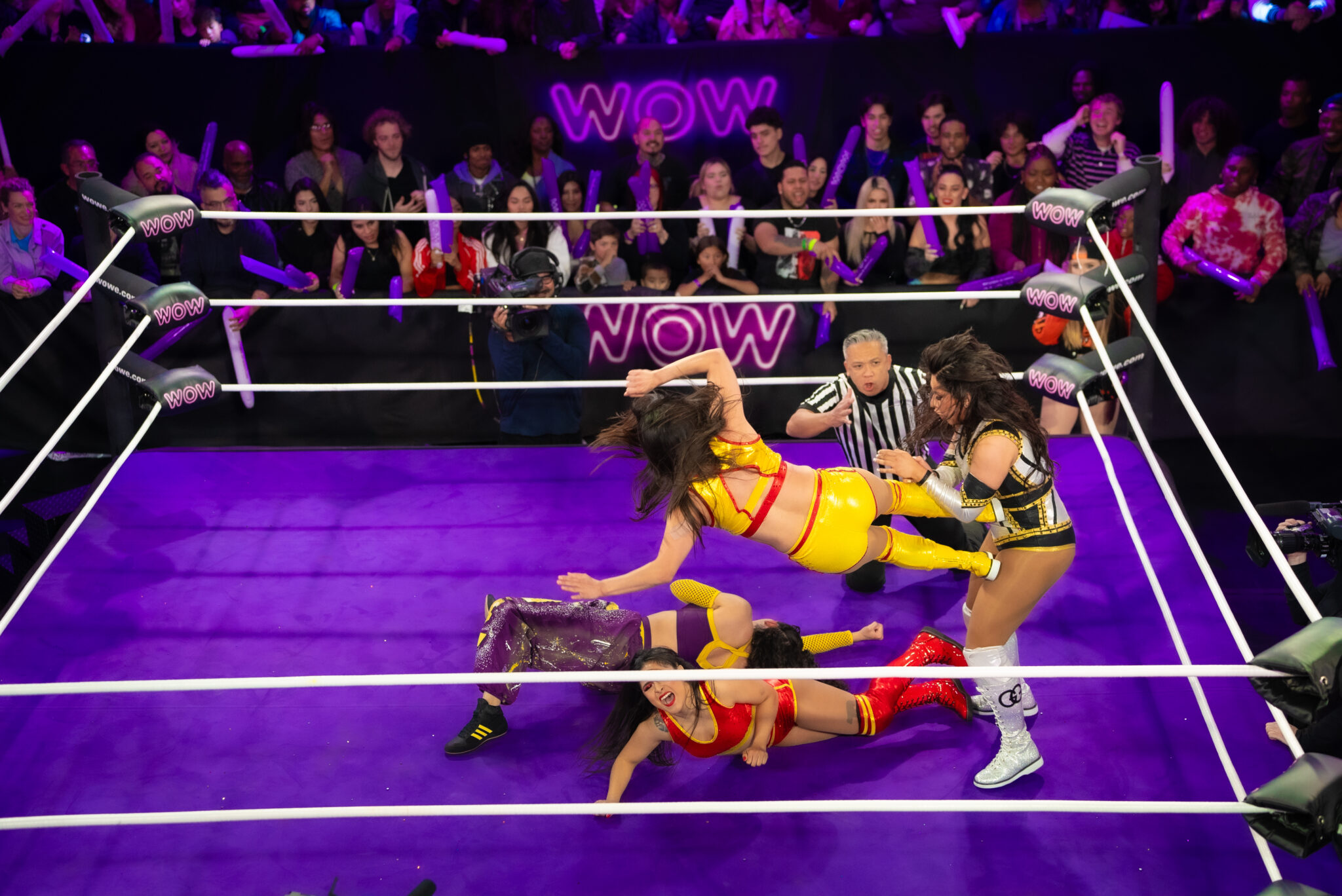 MIGHTY MIGHTS Gallery - Women Of Wrestling