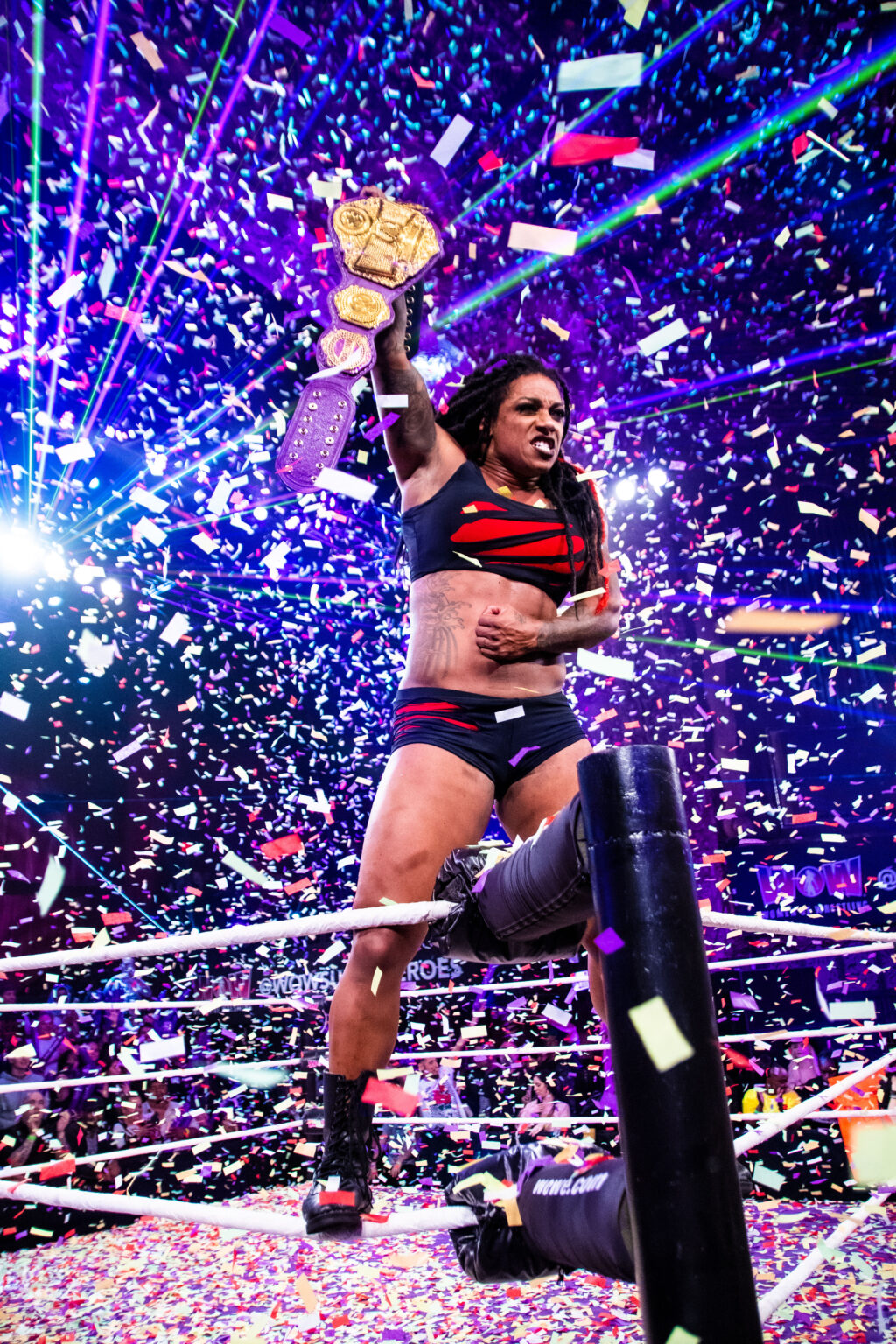 The Beast Gallery - Women Of Wrestling